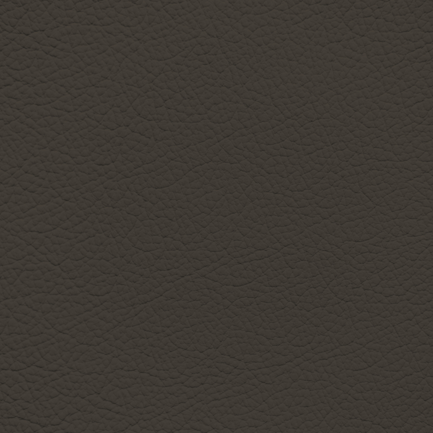 Acura/Honda Truffle Leather Dye – Leather World Technologies