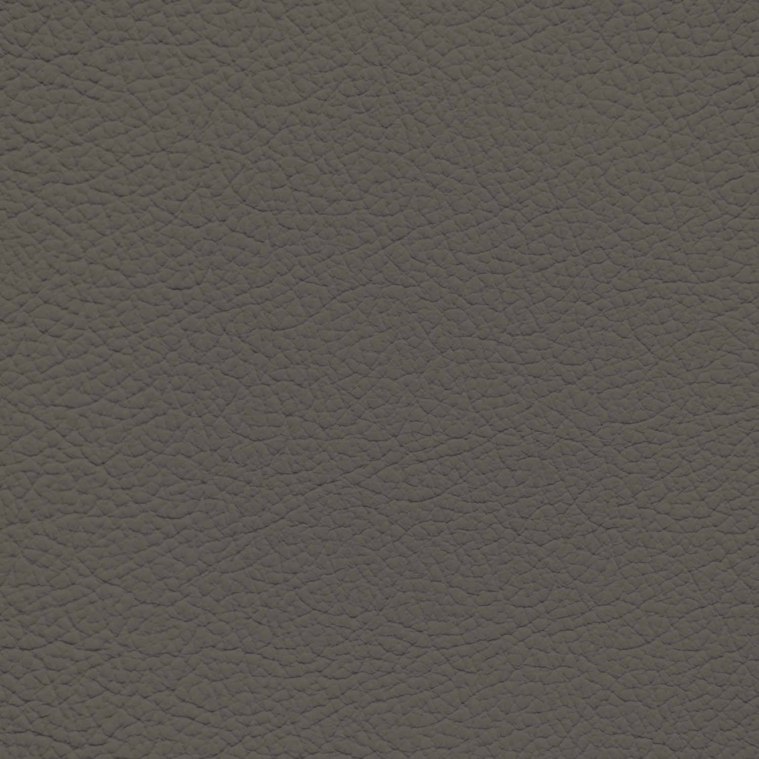 BMW Truffle Brown Leather Dye – Leather World Technologies