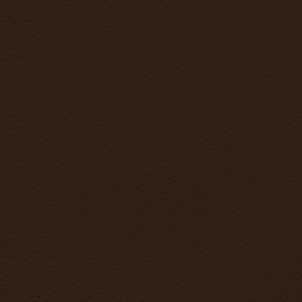 Porsche Truffle Brown Leather Dye – Leather World Technologies