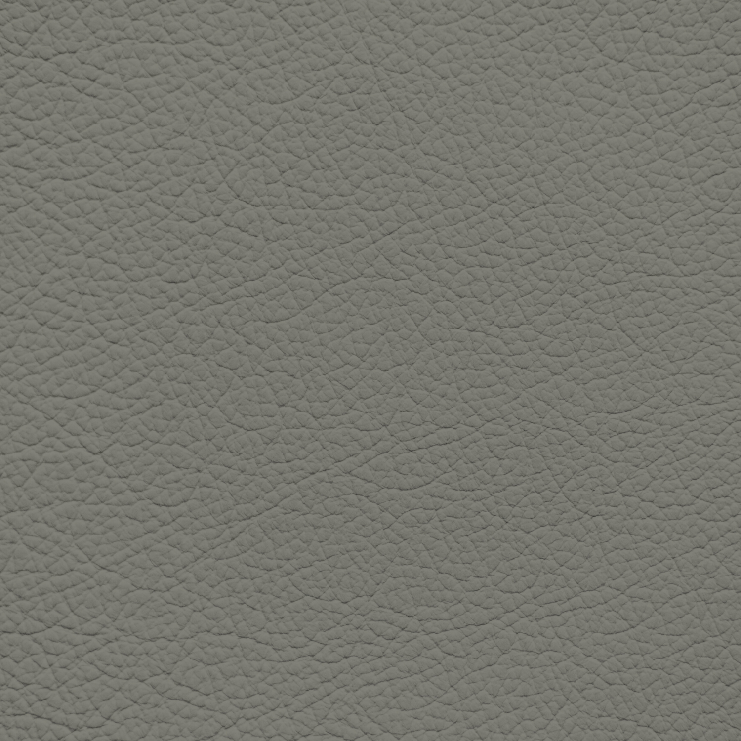 Ford/Lincoln/Mercury Truffle Leather Dye – Leather World Technologies