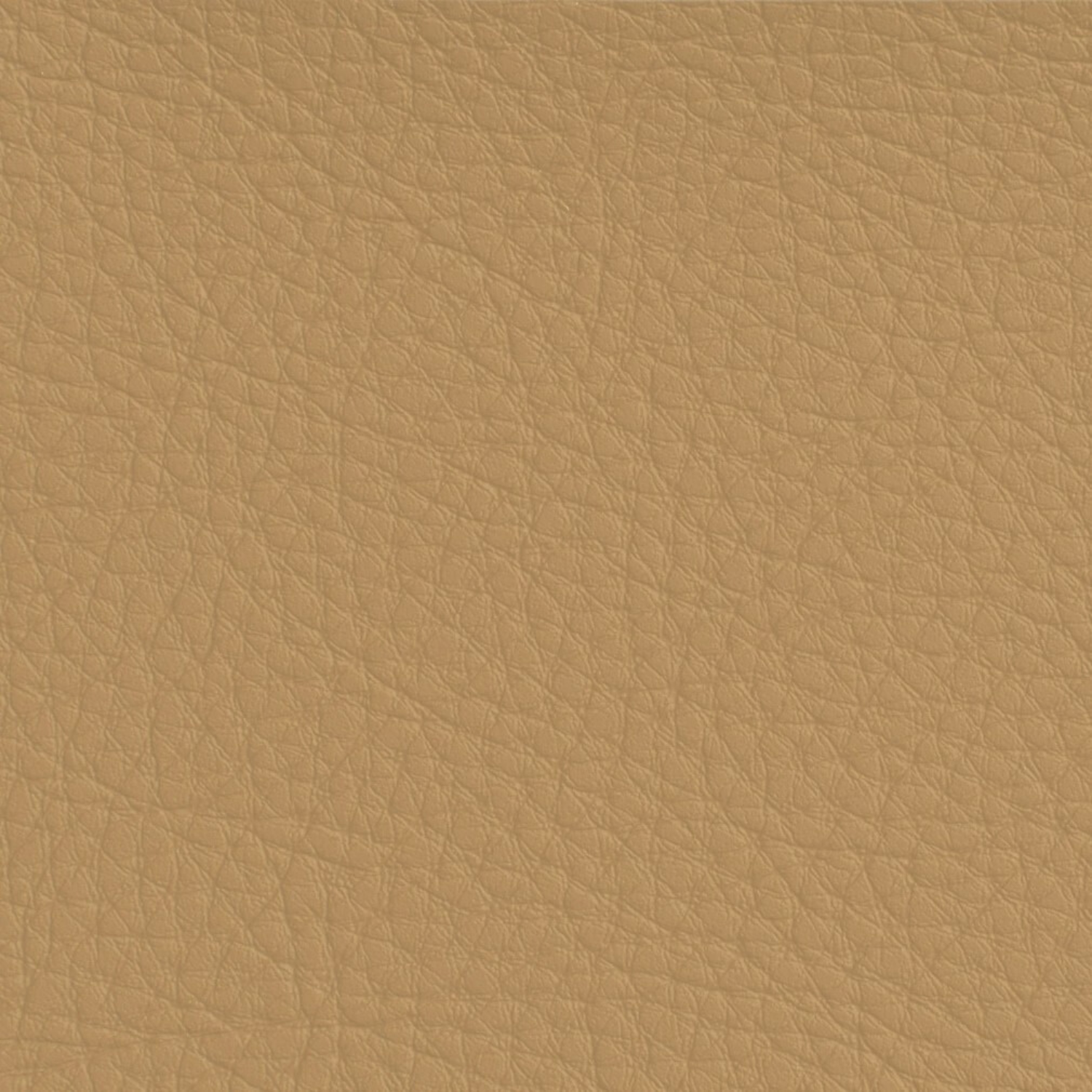 Hyundai Camel Leather Dye – Leather World Technologies