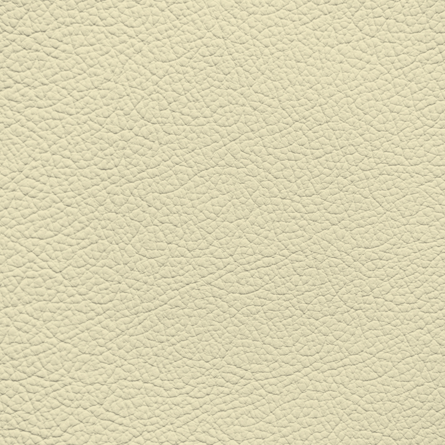 Audi Vanilla Leather Dye – Leather World Technologies