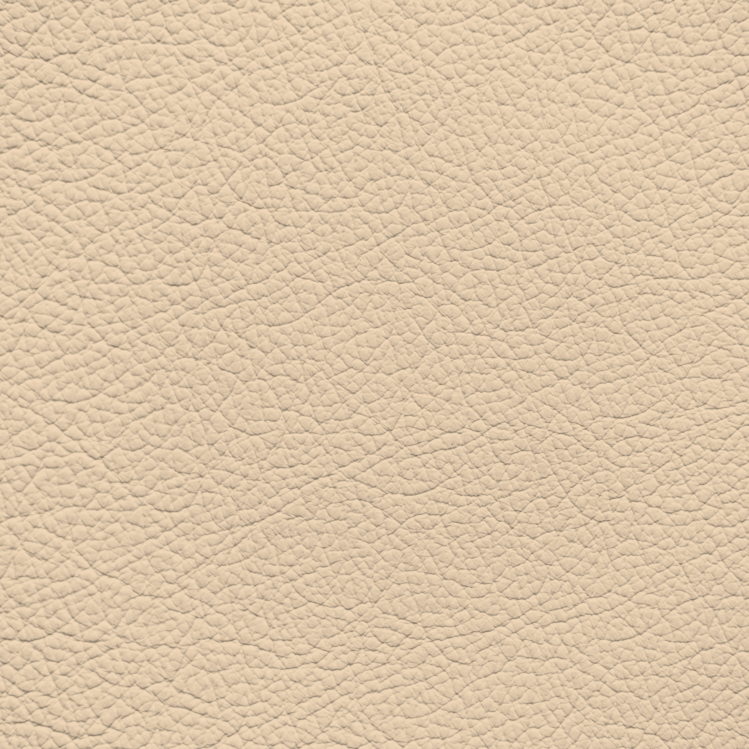BMW Veneto Beige Leather Dye – Leather World Technologies