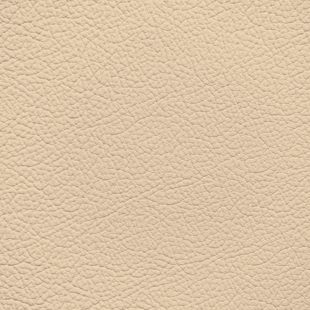 BMW Veneto Beige Leather Dye – Leather World Technologies