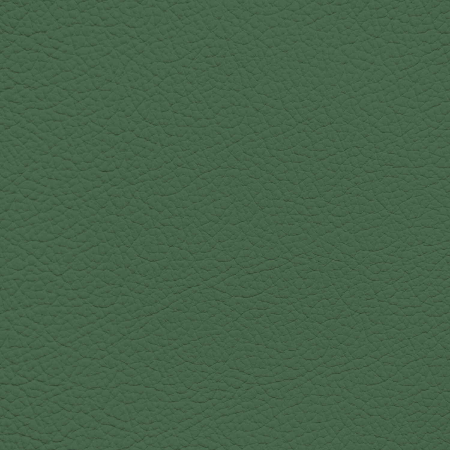 Lamborghini Verde Sagitta Leather Dye – Leather World Technologies