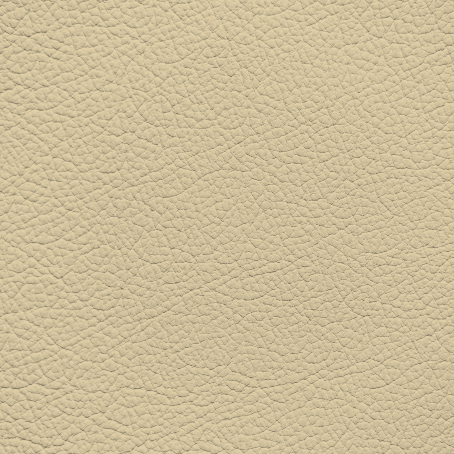 GM Very Light Cashmere Leather Dye – Leather World Technologies