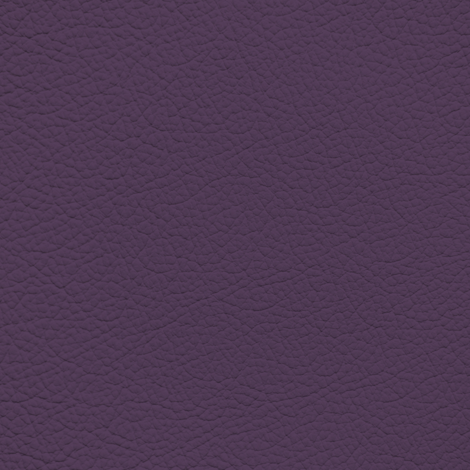 BMW Violet Leather Dye – Leather World Technologies