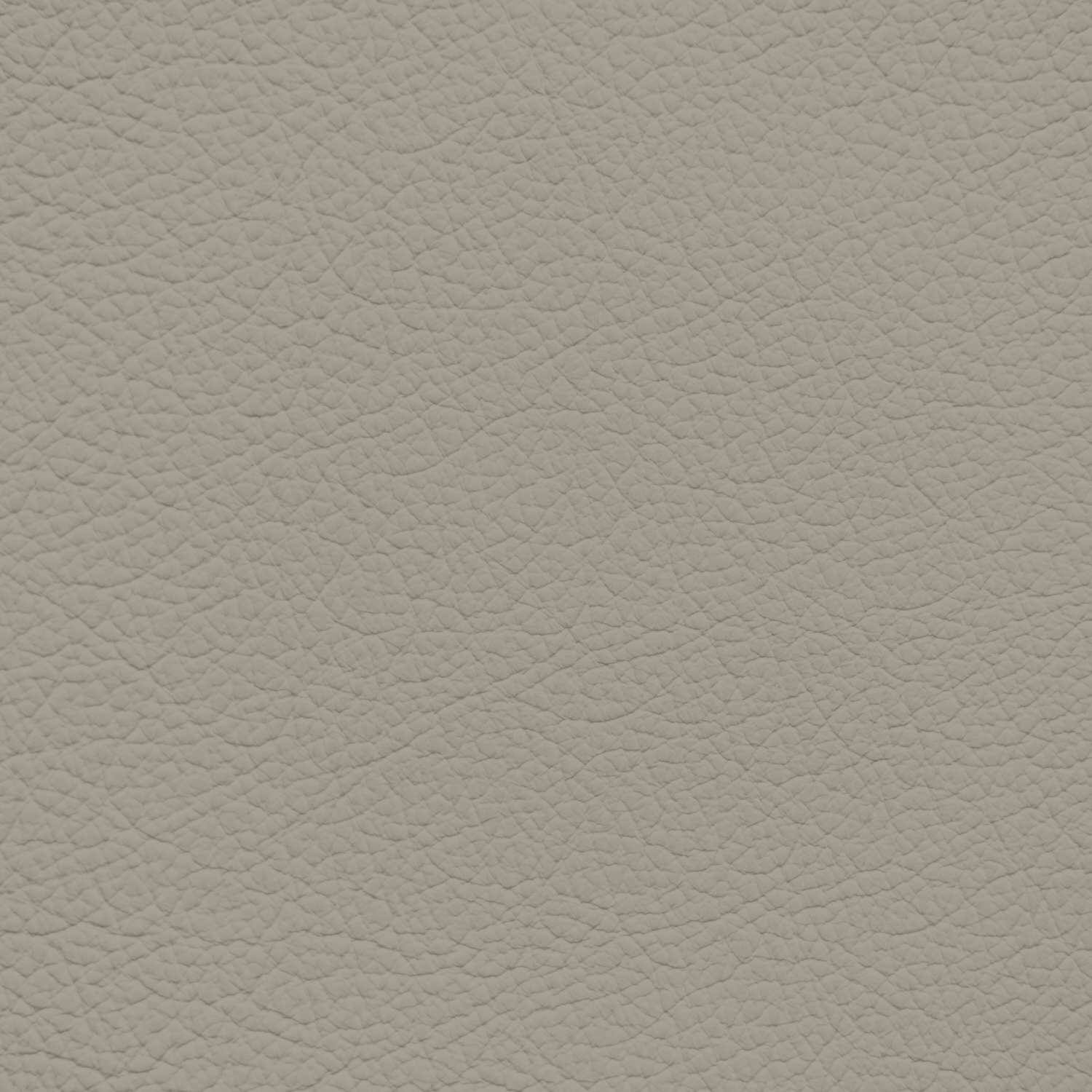 Subaru Warm Ivory Leather Dye – Leather World Technologies
