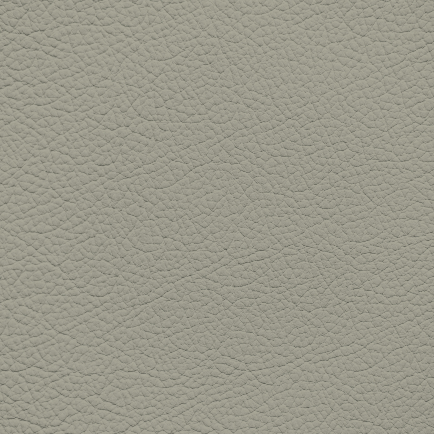 Nissan Stone Beige Leather Dye – Leather World Technologies