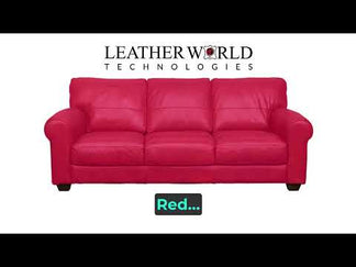 Leather/Vinyl DIY Furniture Recoloring Kit – Leather World Technologies